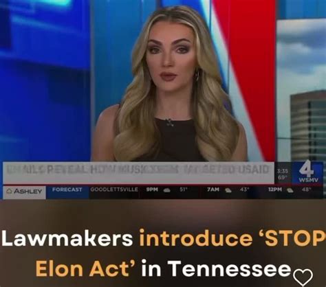The Tennessee Holler Wsmv Tn Dems Sen Jeff Yarbro And Rep Jason Powells ‘stop Elon Act