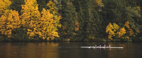 Dartmouth Center For Implementation Science