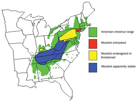 Allegheny Woodrat Range Map Kathleen Logiudice