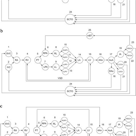 Binary Adjacency Matrices Of A The Normal Heart B Extreme Tof Download Scientific Diagram