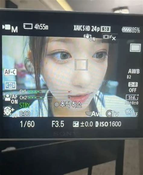 Blip 🌟다채로운 아이브모음🌟