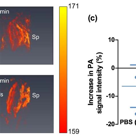 3d Volumetric Photoacoustic Imaging Placental Response To Download Scientific Diagram
