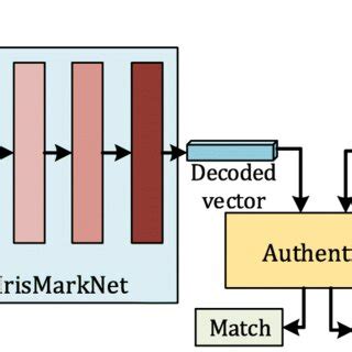 The Pipeline Of The Proposed Network Architecture Download Scientific Diagram