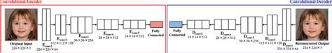 Schematic Illustration Of Implemented Convolutional Autoencoder