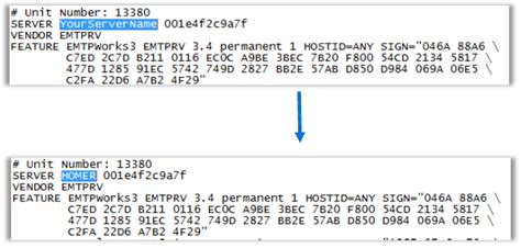 How To Make Sure The Server Hostname In The License File Is Correct Emtp