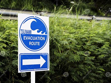 Señal De La Ruta De Evacuación Del Tsunami Imagen De Archivo Imagen