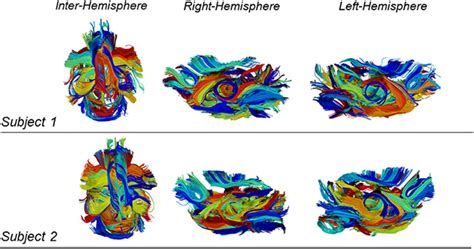 Example Of Intra Subject Clustering Results On Two Mouse Download Scientific Diagram