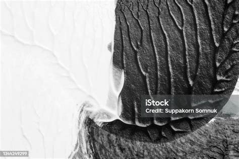 로르샤흐 잉크블롯 방법을 사용하여 흰색 백서 배경에 검은 흰색 추상 아크릴 페인팅 색상 텍스처 0명에 대한 스톡 사진 및 기타 이미지 Istock