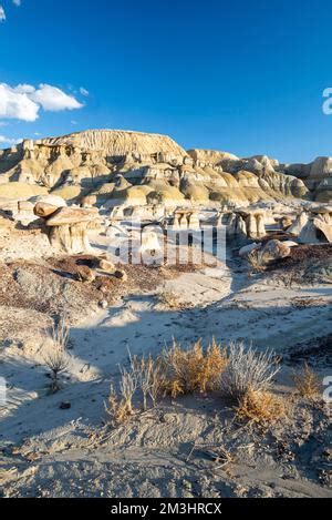 Photograph From The Ah Shi Sle Pah Wilderness A Remote Area In Central