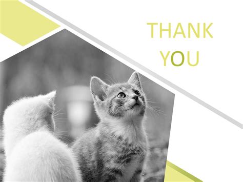 Kittens Free Business Powerpoint Templates