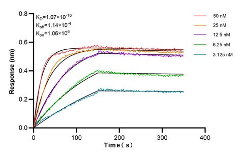 Tab2 Antibody 82948 1 Pbs Proteintech