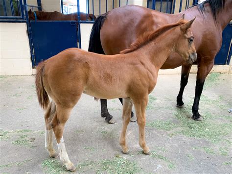 Jess Send Cupid Home