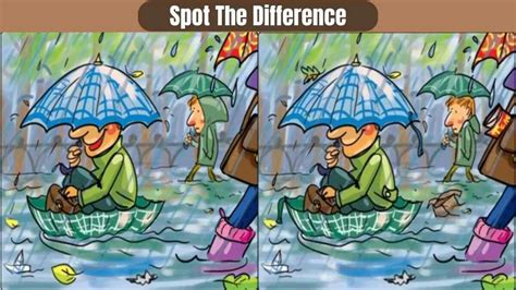 Spot The Differences Spot 10 Differences In 13 Seconds Also Check Out More Puzzles Optical