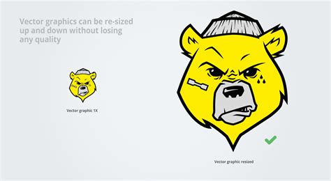 The Difference Between Vector And U Bitmap Graphics U Why Does It Matter Baboon