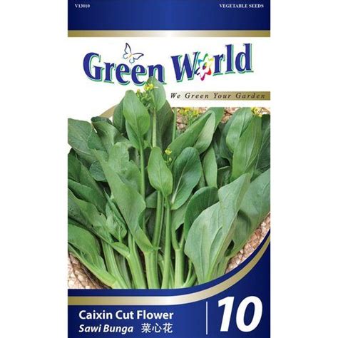 Biji Benih Sawi Bunga Kebuna Putrajaya