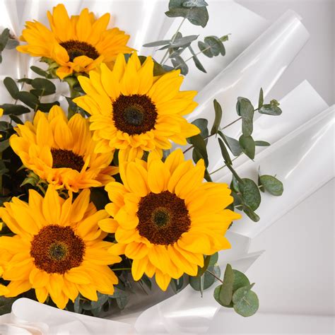 Order Sunflowers Pop Bouquet Online Same Day Delivery Uae Fnpae