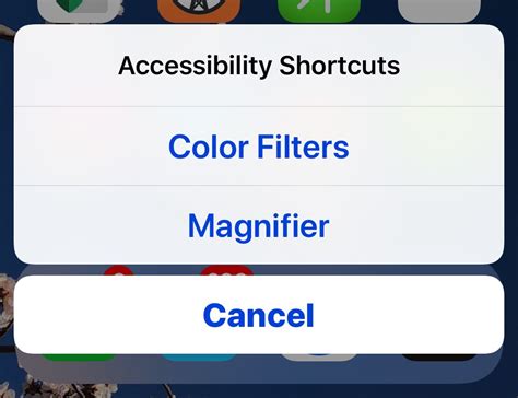 How To Set And Use The Accessibility Shortcut On Iphone And Ipad