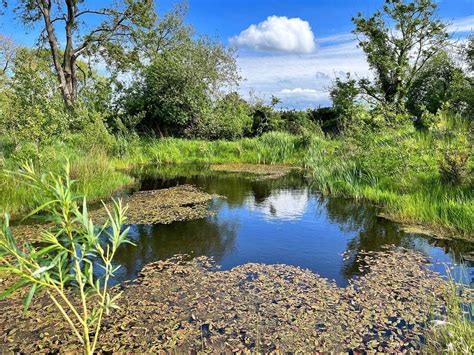 Dalibor Farny Dalibor Farny Added A New Photo