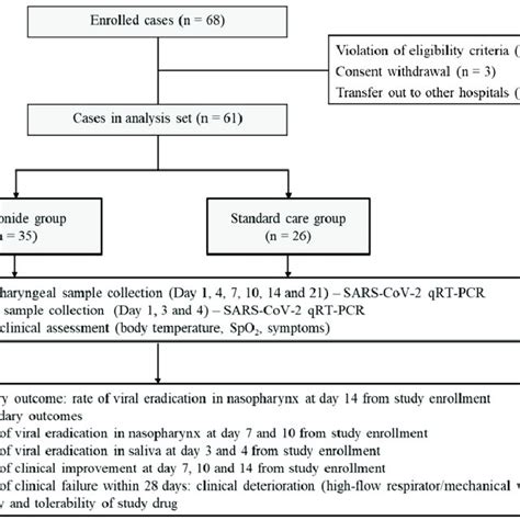 Study Flowchart Randomization And Treatment Assignment Download