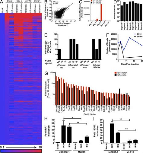 Surviving Cells Have An Altered Transcriptional Profile And Represent A