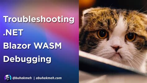 Troubleshooting Net Blazor Wasm Debugging Rdotnet