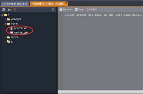 How To Use New Relic Agent In Jelastic Virtuozzo