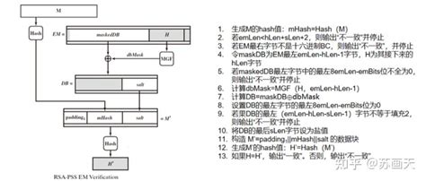 网络安全RSA PSS数字签名算法 知乎