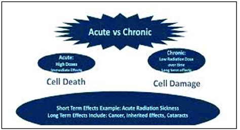 A Comparison Of Acute Toxicity With Chronic Toxicity Download Scientific Diagram