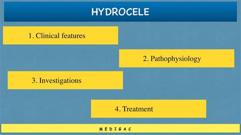 Hydrocele Clinical Features Pathophysiology Investigations
