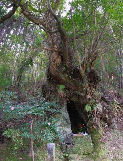 三重野観音 鹿児島の自然と食