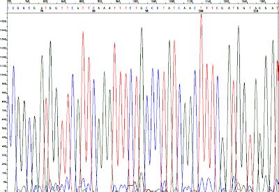 Science Citation Classics Sanger Sequencing Science 2 0