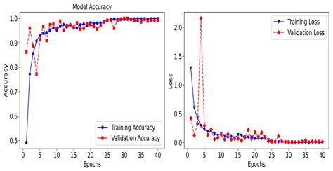 Enhancing Brain Tumor Mri Classification With An Ensemble Of Deep