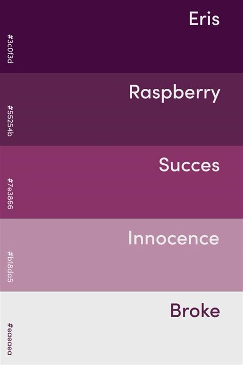 Raspberry Color Palette Calmo Agency Pantone Farben Violett
