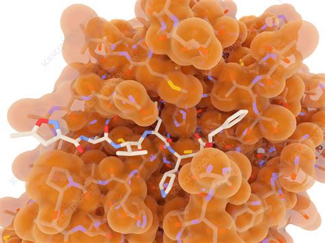 Coronavirus Main Protease And Inhibitor Molecular Model Stock Image