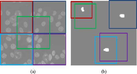 Figure 1 From Hep 2 Specimen Classification Using Multi Resolution