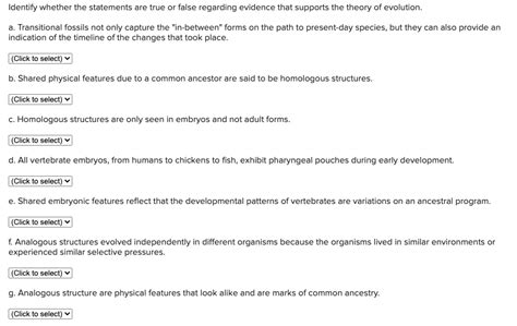 Solved Identify Whether The Statements Are True Or False