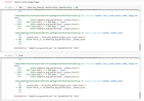 Runtimeerror Adaptiveavgpool2dcpu Not Implemented For Byte