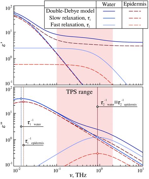 Double Debye Models Of The Complex Dielectric Download Scientific Diagram
