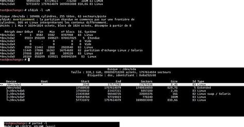 Identifier Raid5 Ou Raid4 Support Debian Debian