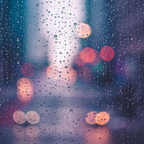 Обои капли дождя - фото и картинки: 66 штук