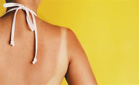 Collagen Vs Elastin What Are The Differences Vibrant Skin Bar