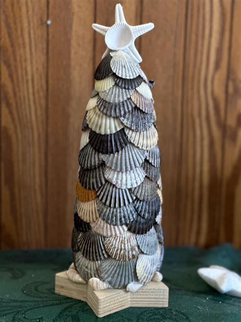 Scallop Shell Tree Etsy