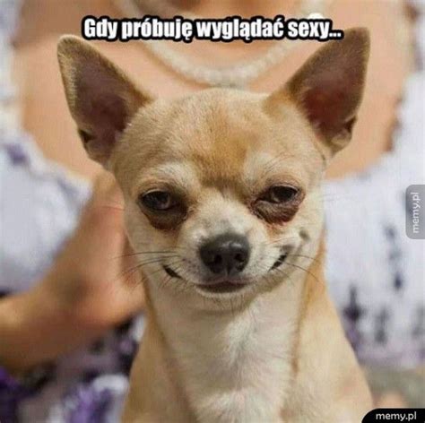 Sexy Memy Pl