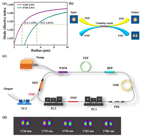 Wavelength Tunable Pulsed Cylindrical Vector Beams In A 17 μm Mode