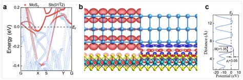 东南大学物理学院王金兰教授、马亮教授团队在金属和二维半导体接触机制与调控方面取得重要进展