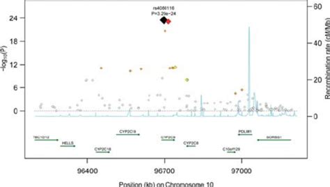 Position Of The Snp On Chromosome 10 With The Lowest P Value On