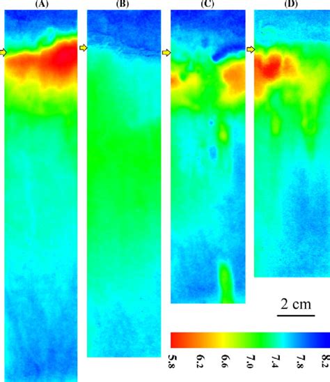 Spatial Variation Of Ph Profiles Observed During Multiple Casts At Download Scientific Diagram