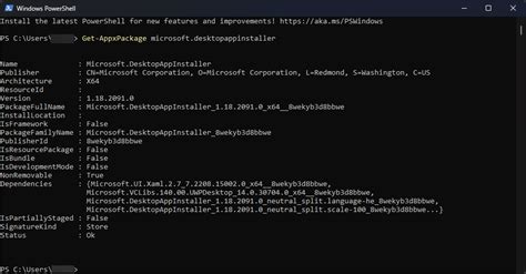 Program Wingetexe Failed To Run The Process Has No Package Identityat Line1 Char1 · Issue