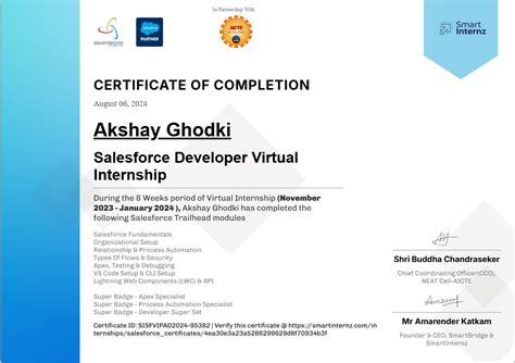 Akshay Ghodki On Linkedin Salesforce Developer Internship