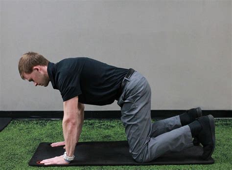 Quadruped Stretch Quadruped Thoracic Precision Chiropractic And